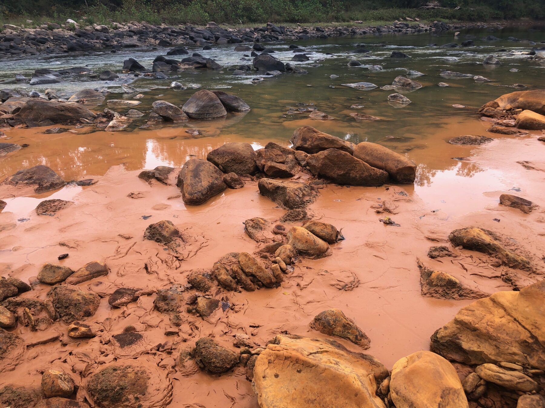 Friends of the Cheat » About the Cheat Watershed